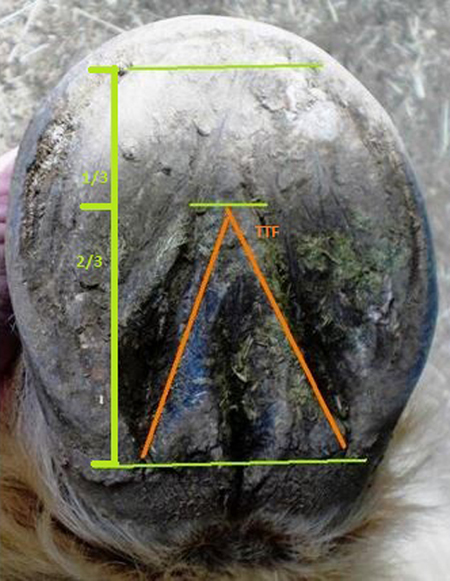 Realigning Trim | ECIR Group, Inc.