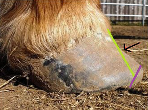 Realigning Trim | ECIR Group, Inc.