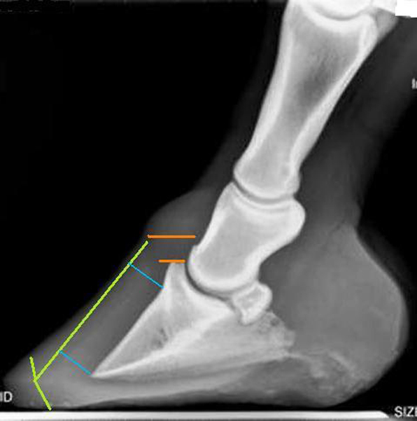 Realigning Trim | ECIR Group, Inc.